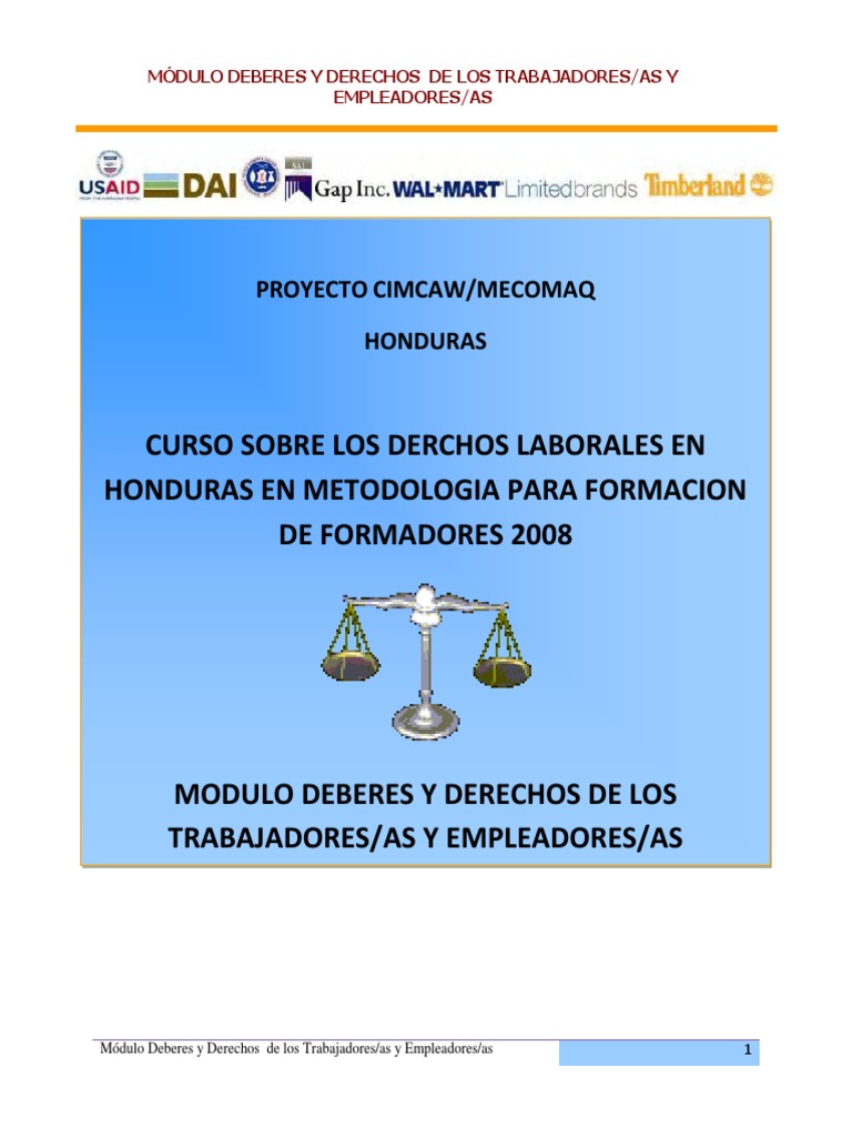 Derecho Individual Del Trabajo | PDF | Derecho laboral | Salario