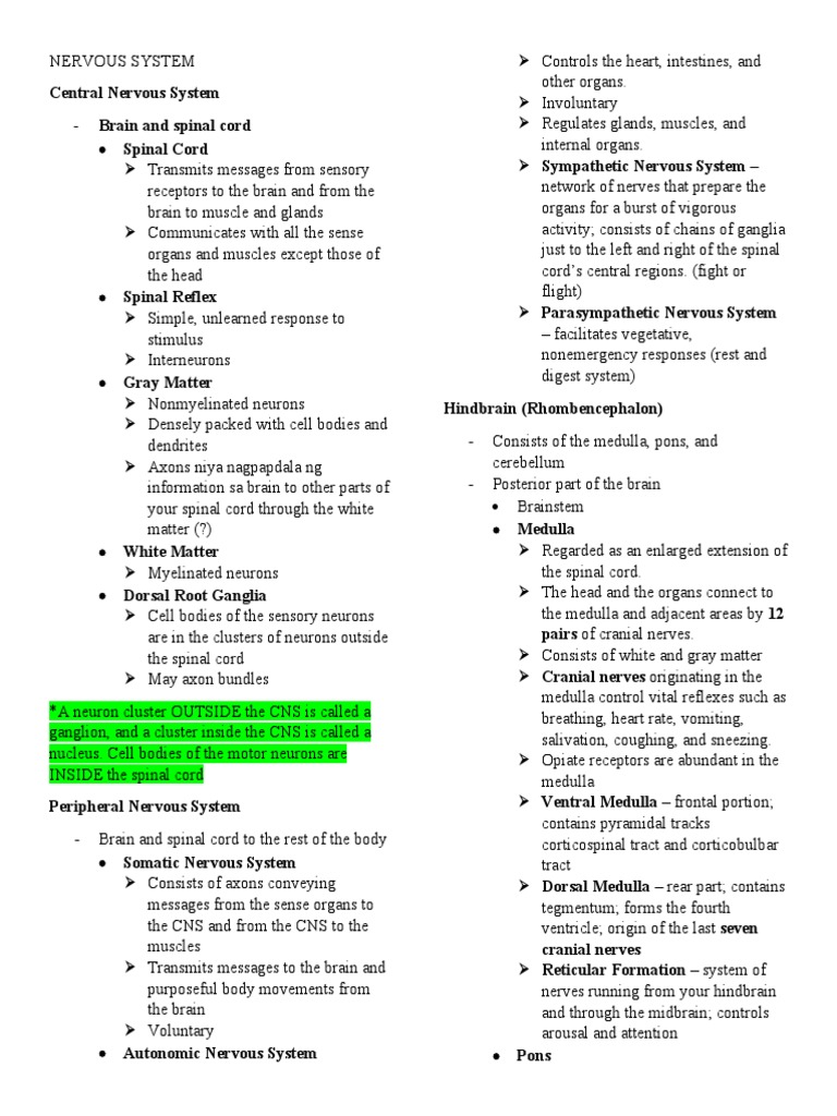 Formative-Assessment-3-Reviewer | PDF | Central Nervous System | Nervous System