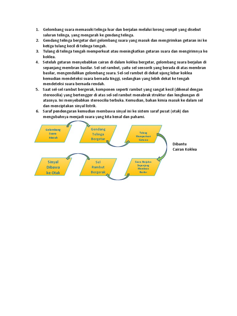 Proses Pendengaran | PDF