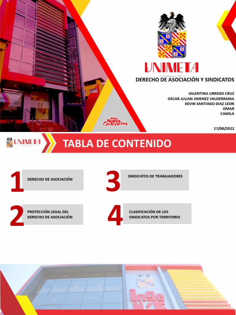 Derecho de Asociación y Sindicatos | PDF | Sindicato | Organización ...