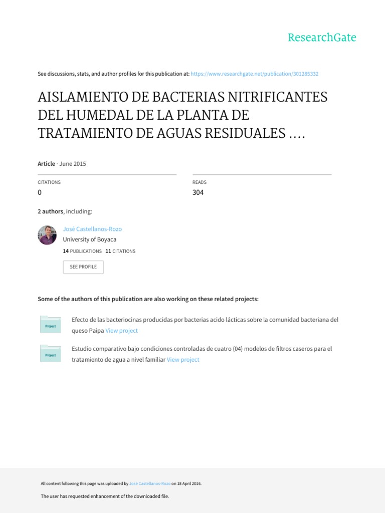 Ailamiento de Bacterias Nitrificantes | PDF | Nitrato | Las bacterias