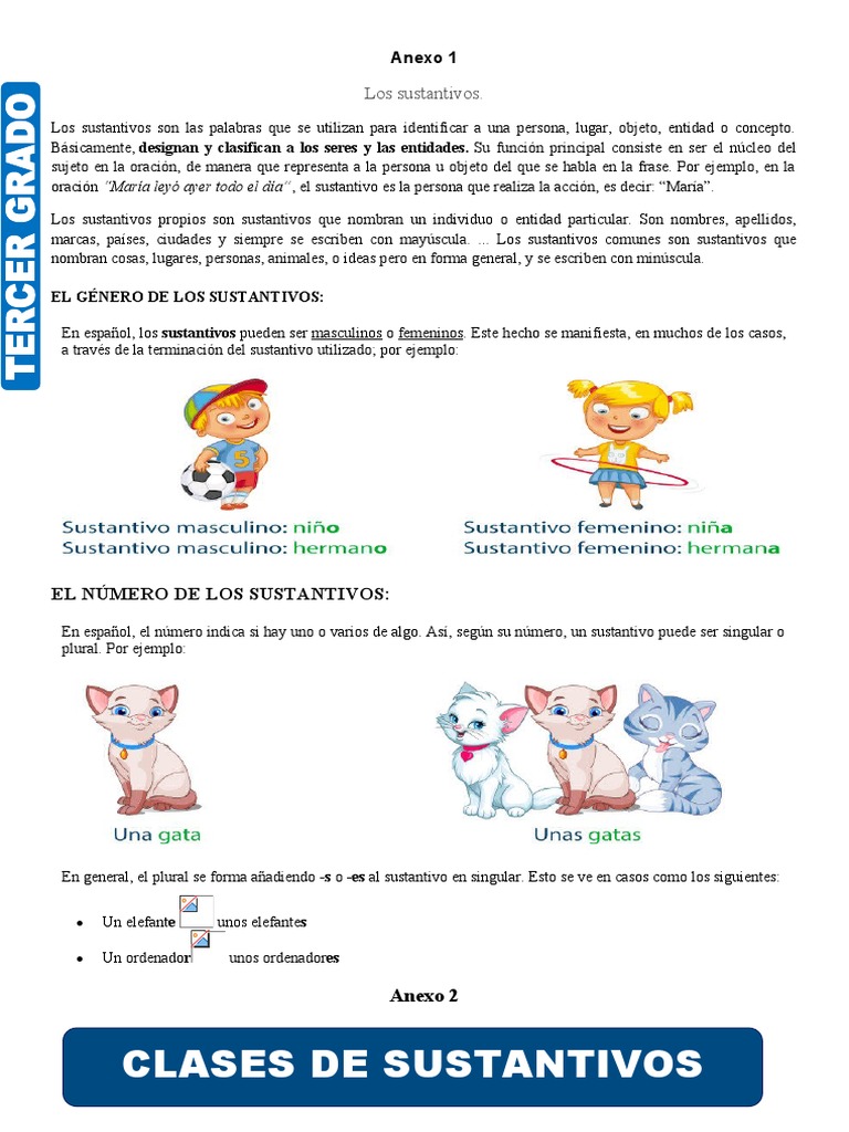 Clases de Sustantivos para Tercer Grado de Primaria | PDF | Sustantivo ...
