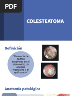 Nomenclatura IFCPC 2011 | PDF | Vagina | Ciencias de la Salud