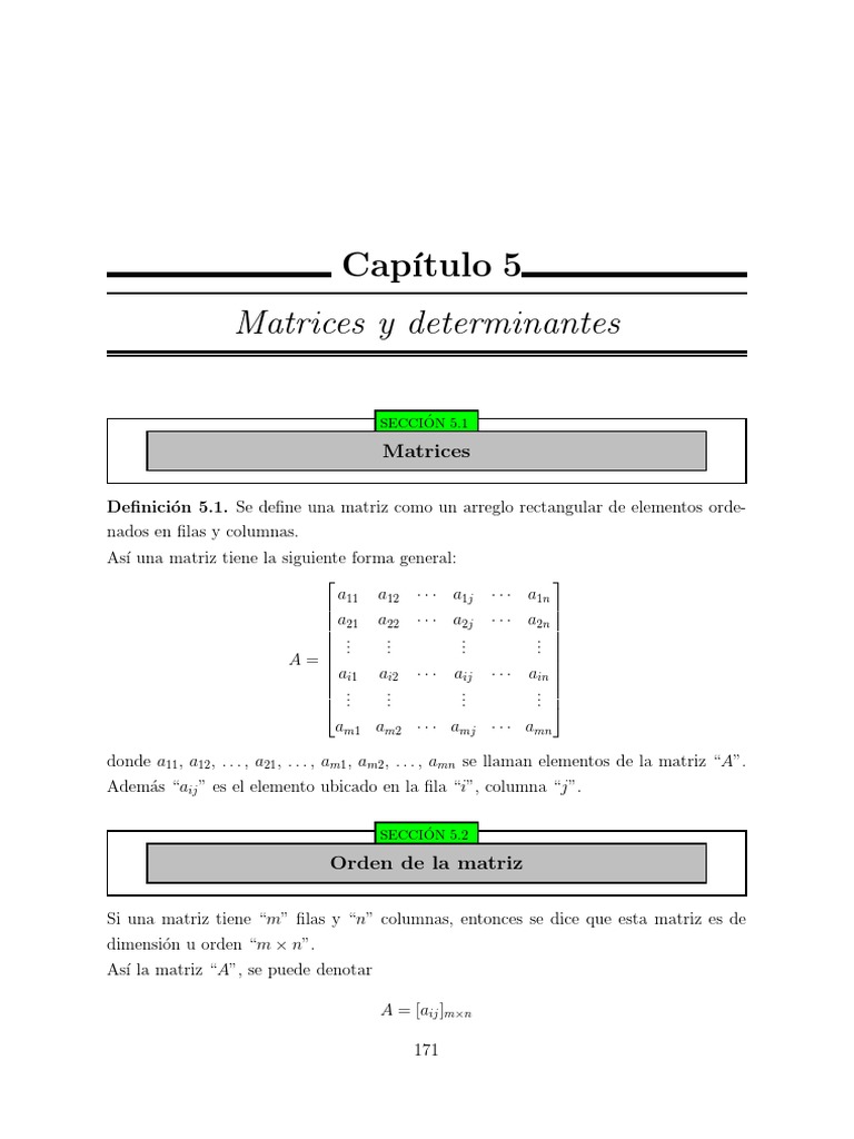 Matrices y Determinantes | PDF | Matriz (Matemáticas) | Determinante