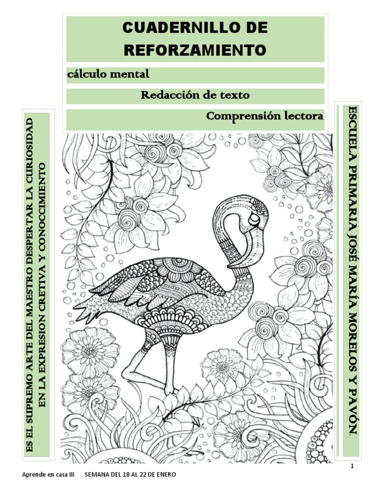 Cuadernillo Rezago | PDF