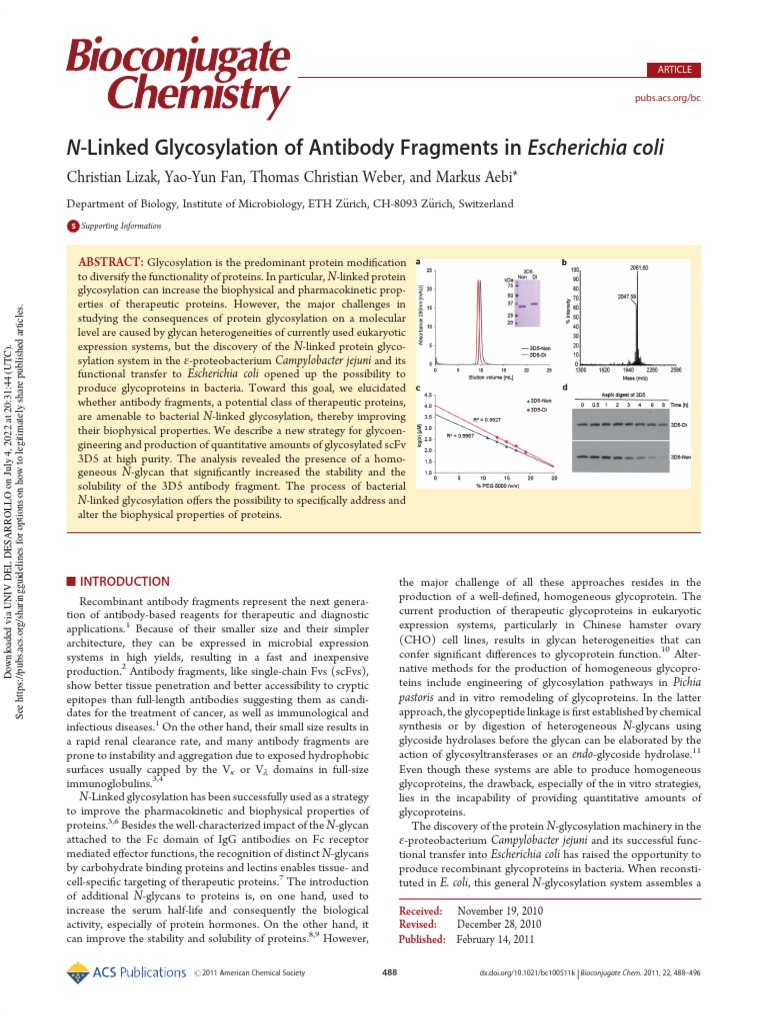 Lizak Et Al (2011) - N-Linked Glycosylation of Antibody Fragments in E. Coli | PDF | Protein ...