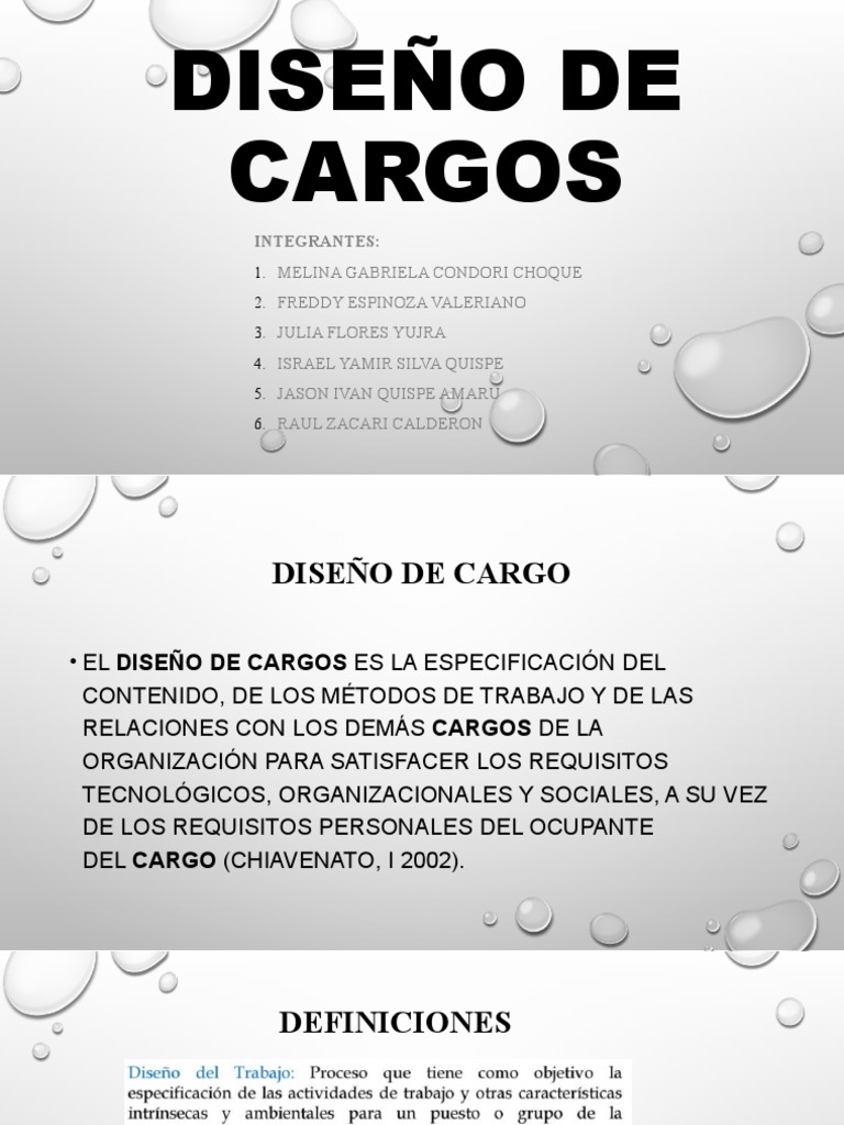 Diseño de Cargos Expocision | PDF | Diseño | Evaluación