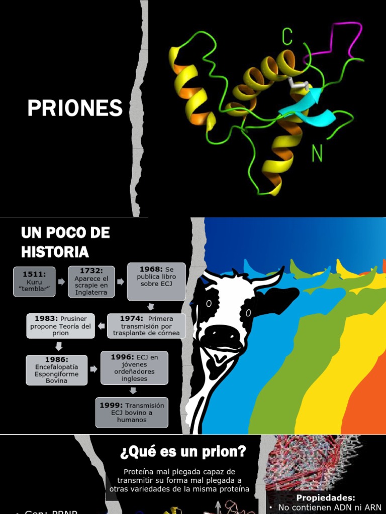 PRIONES | PDF | Epidemiología | Procesos celulares