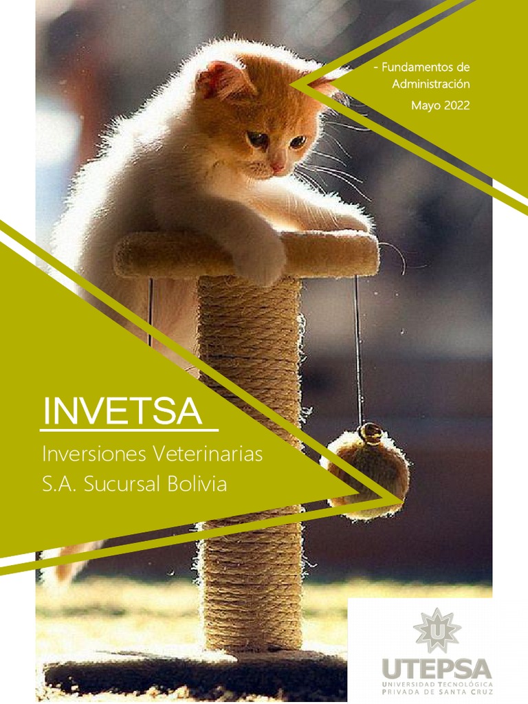 Invetsa | PDF | Calidad (comercial) | Planificación