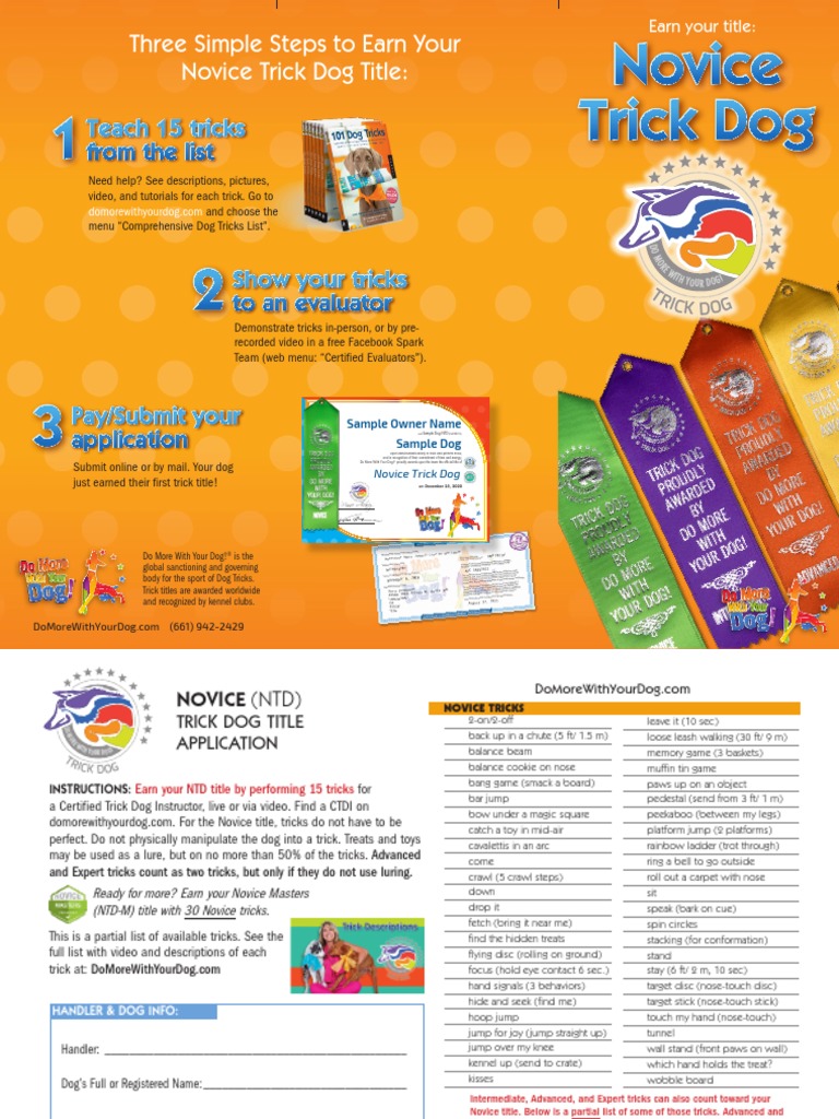 Novice Trick Dog Trick Dog 1 2 3 | PDF