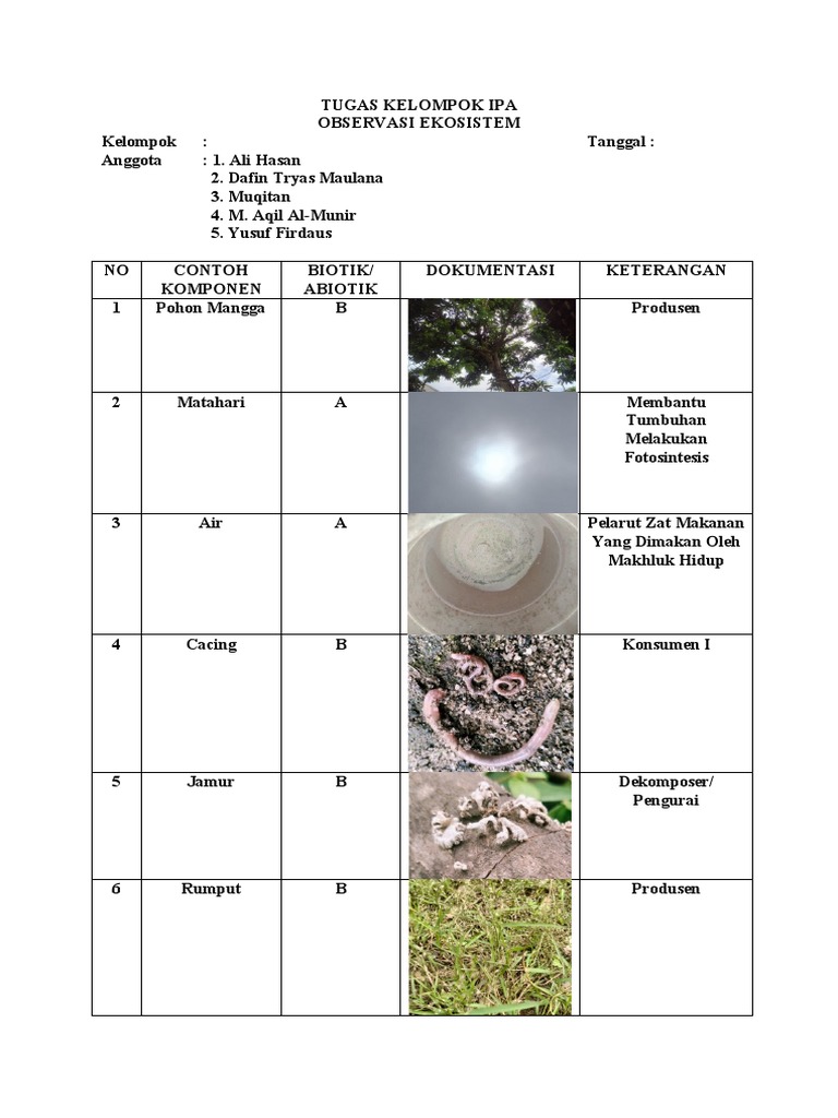 Tugas Kelompok Ipa | PDF | Griya & Taman | Sains & Matematika