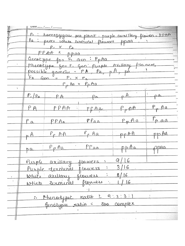 Genetics Dihybrid Cross Icse 10th | PDF