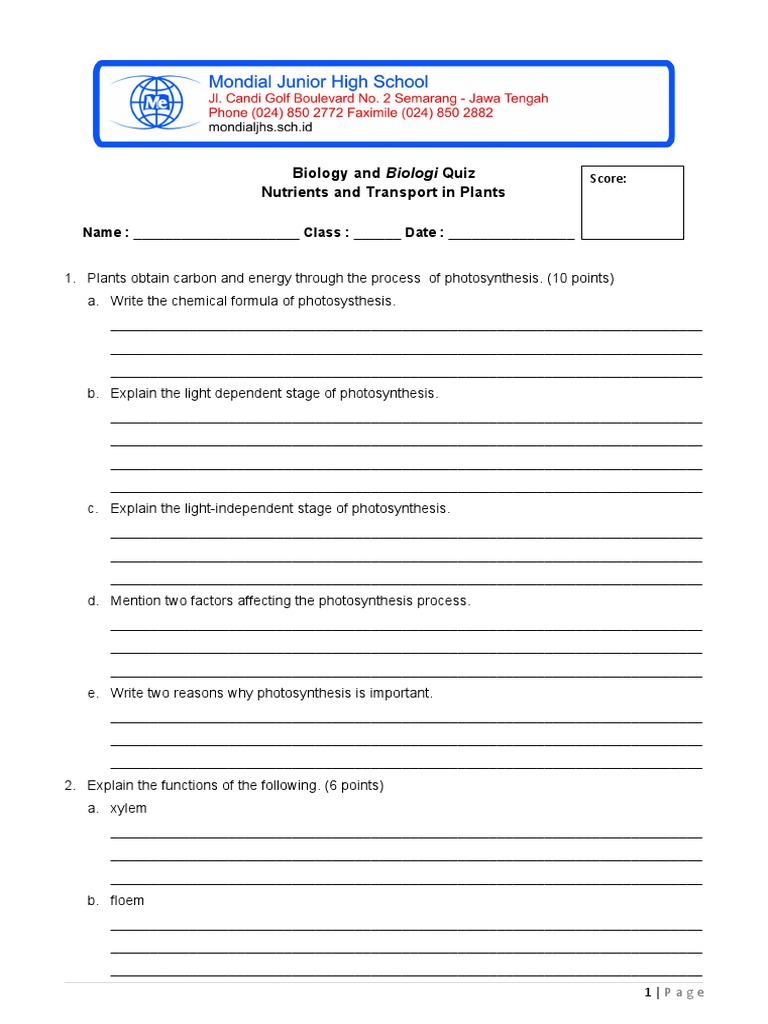 Plant Nutrients and Photosynthesis Quiz | PDF | Photosynthesis | Life ...