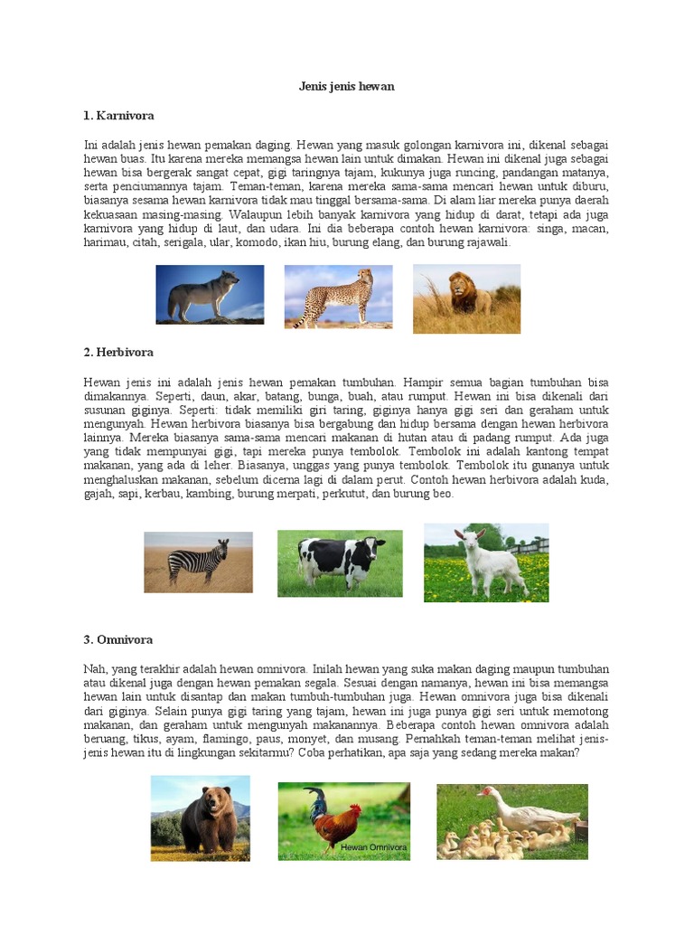 Jenis Jenis Hewan | PDF