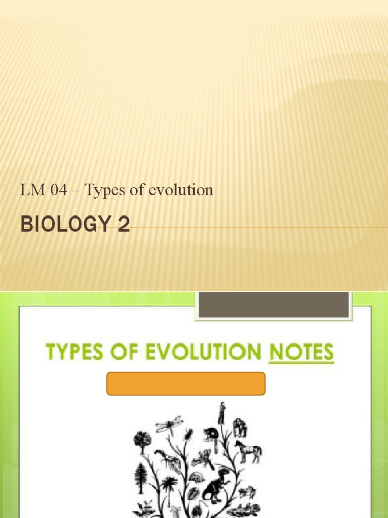 G12 Bio2 Lm 4 Micro Vs Macroevolution Pdf Evolution Natural Selection