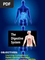 The Digestive System Grade 5 | PDF | Digestion | Human Digestive System