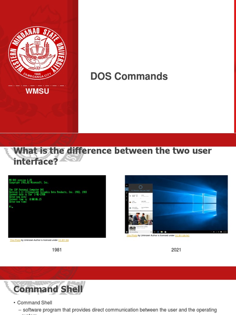 DOS Commands | PDF | Computer File | Filename
