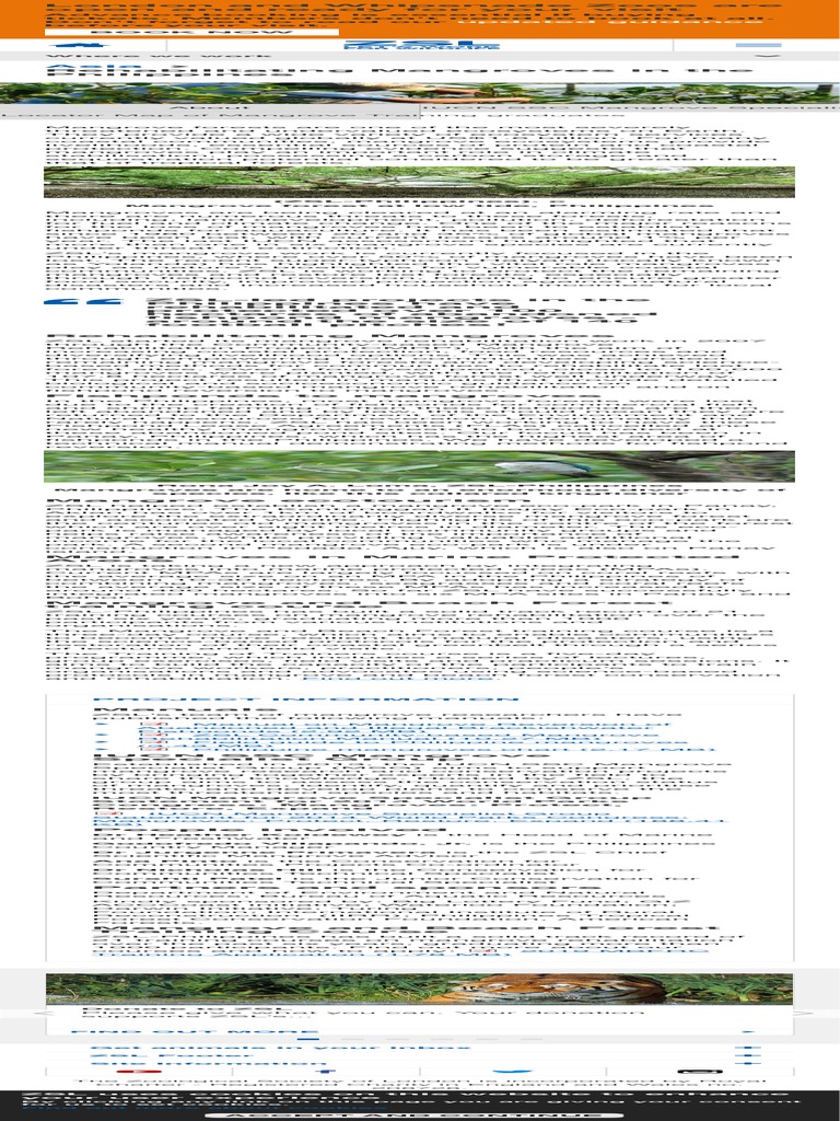 ZSL's Mangrove Rehabilitation Initiatives | PDF | Mangrove | Nature