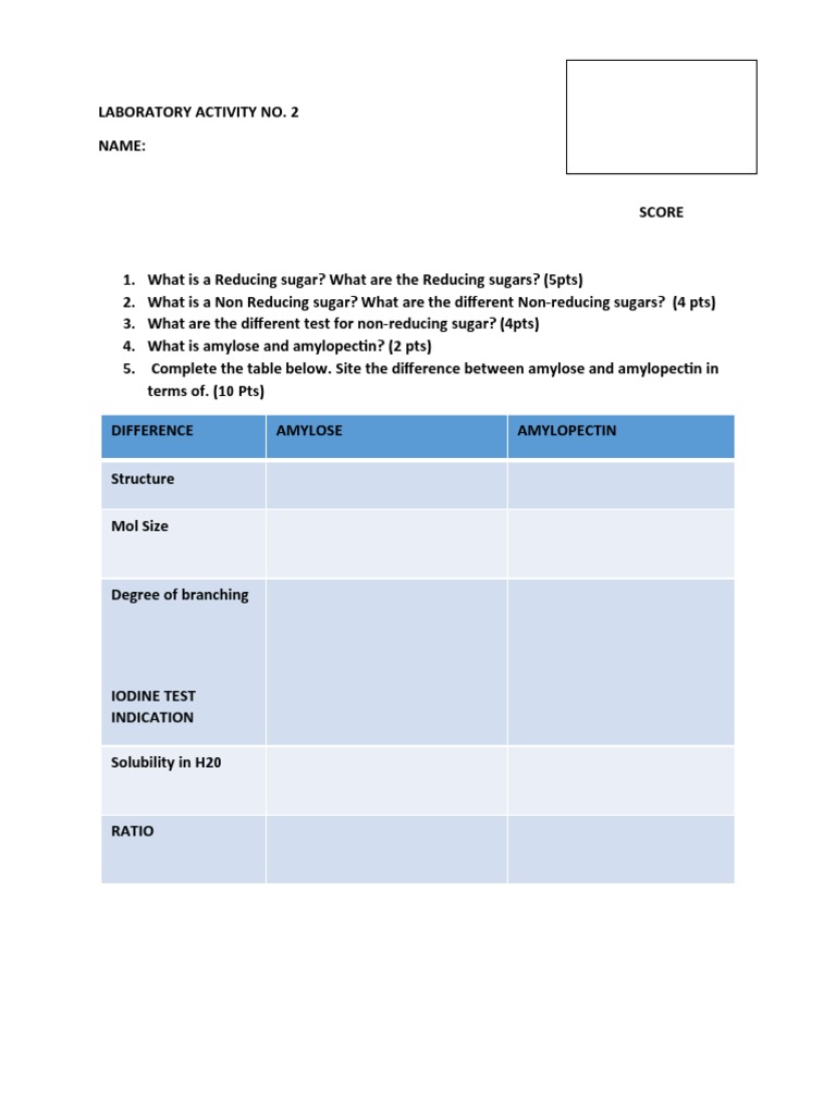 Laboratory Activity No 2 | PDF