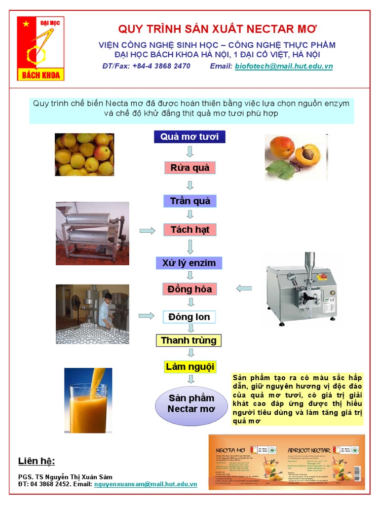 Apricot Nectar Processing | PDF