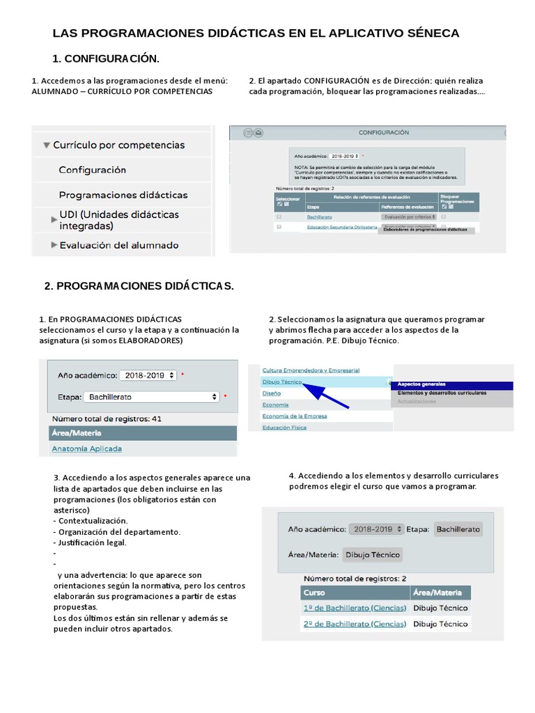 Tutorial Programación SENECA | PDF | Plan de estudios | Aprendizaje