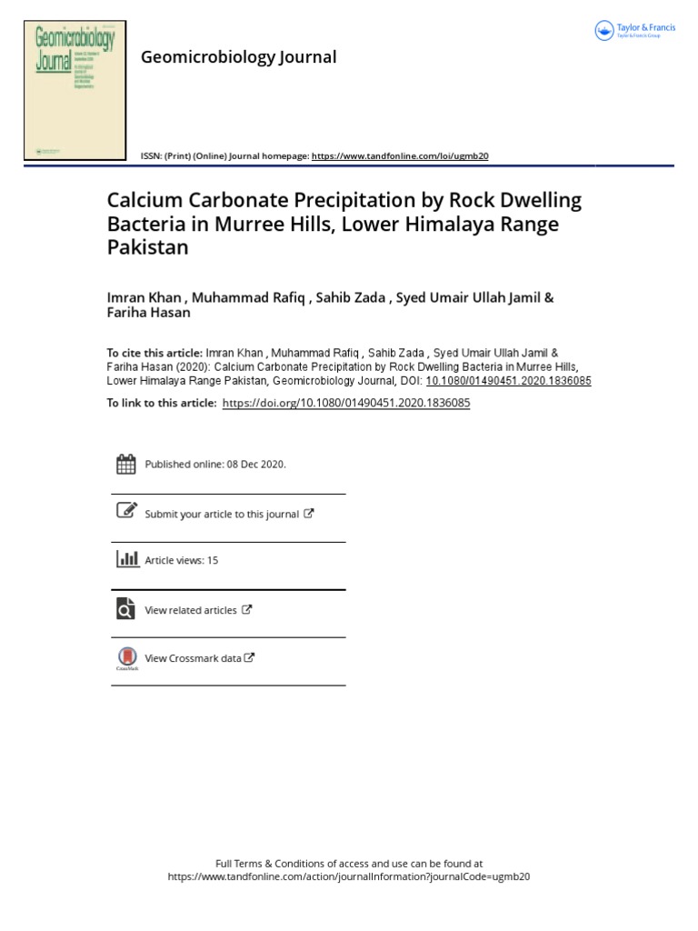 Calcium Carbonate Precipitation by Rock Dwelling Bacteria in Murree ...