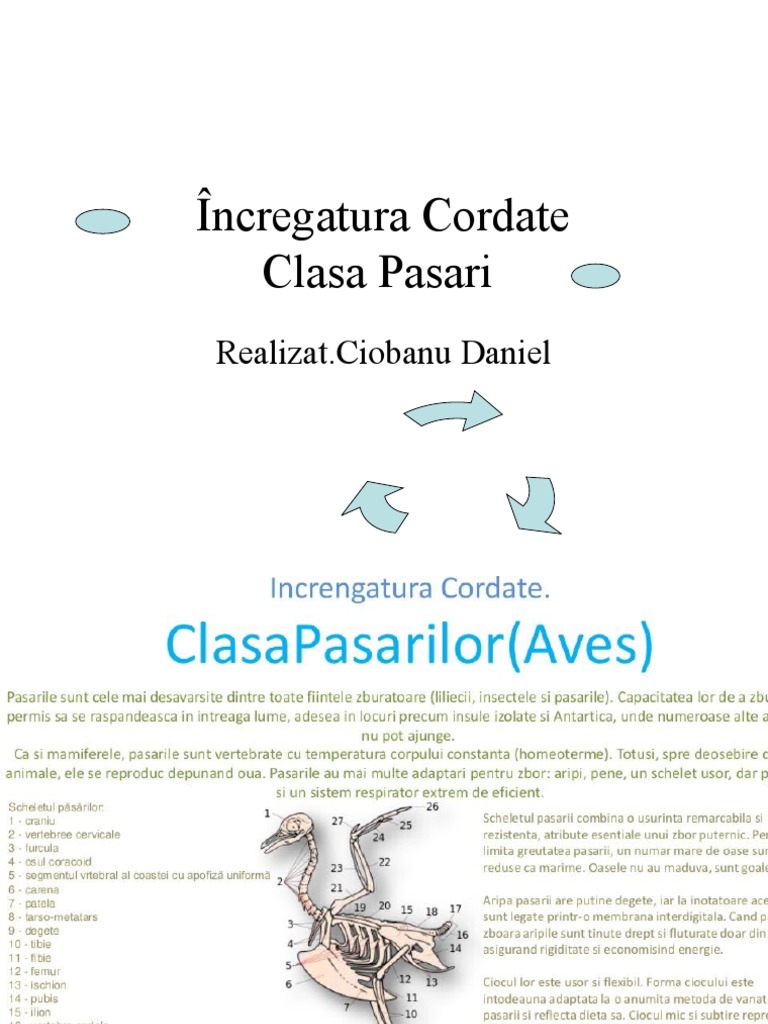 Pasari Prezentare | PDF