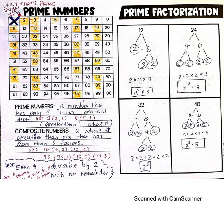 Prime Factorization Notes | PDF