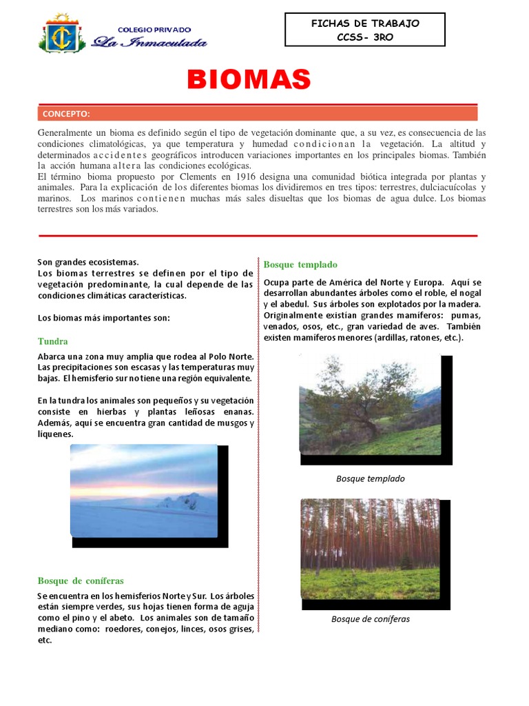 Biomas FICHAS DE TRABAJO | PDF | Arboles | Naturaleza