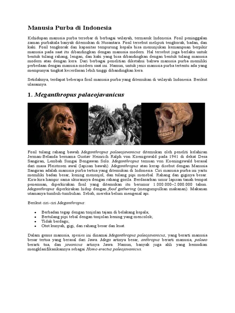 Manusia Purba Di Indonesia | PDF | Ilmu Sosial | Agama & Spiritualitas