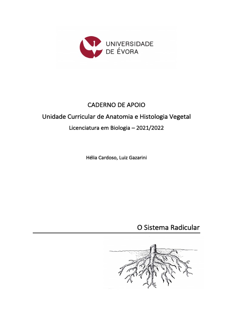 Texto de Apoio - Anatomia e Histologia Vegetal | PDF | Raiz | Latido