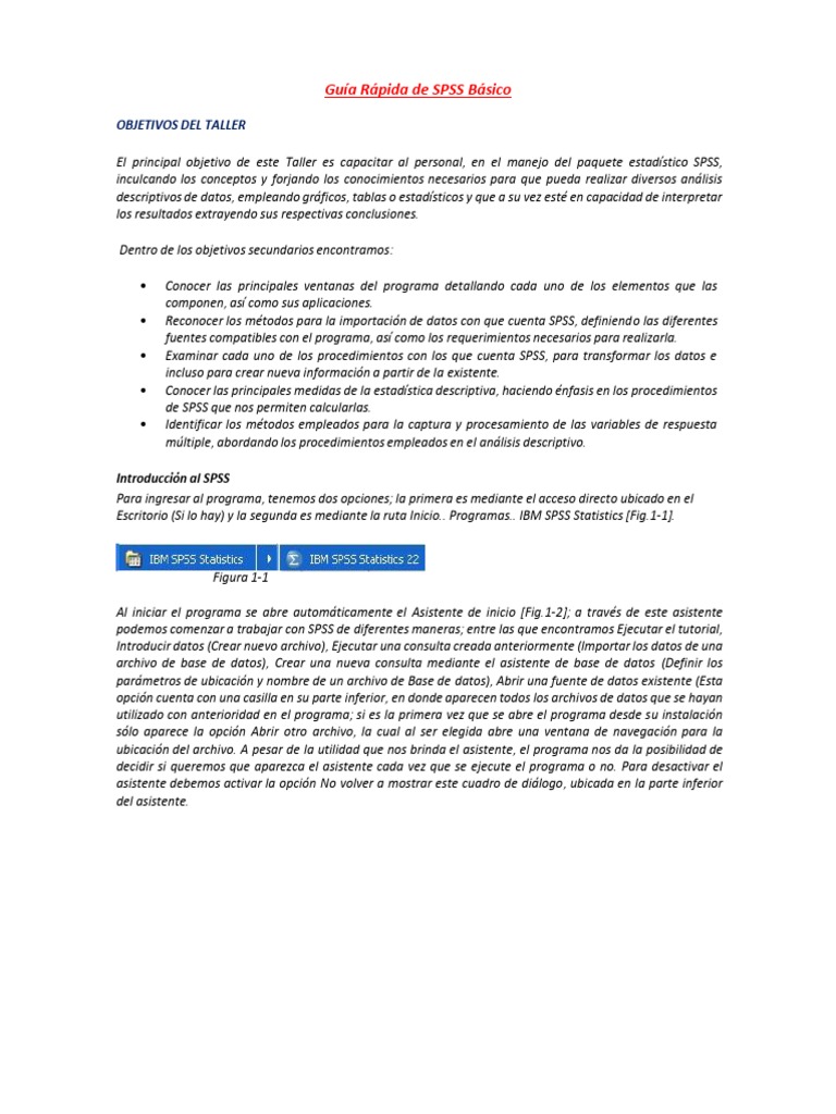Guía Rápida De Spss 22 Pdf Spss Archivo De Computadora