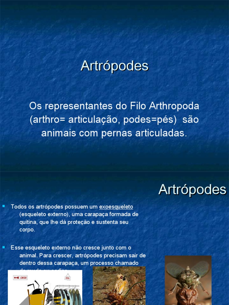 Artrpodes PPT 101107142358 Phpapp01 | PDF | Insetos | Crustáceo