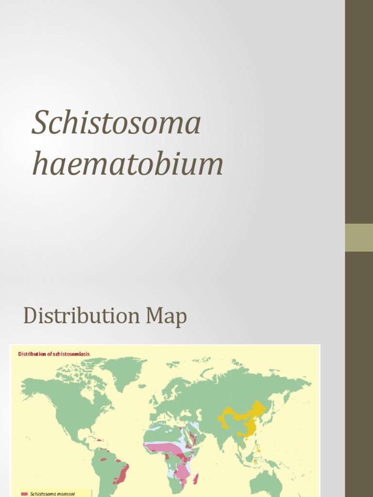Schistosoma Haematobium | PDF