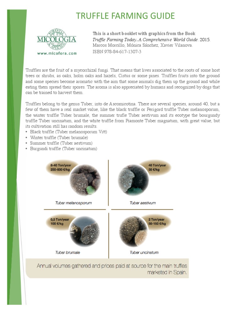 Truffle Farming Today. A Comprehensive World Guide. 2015 | PDF | Soil ...