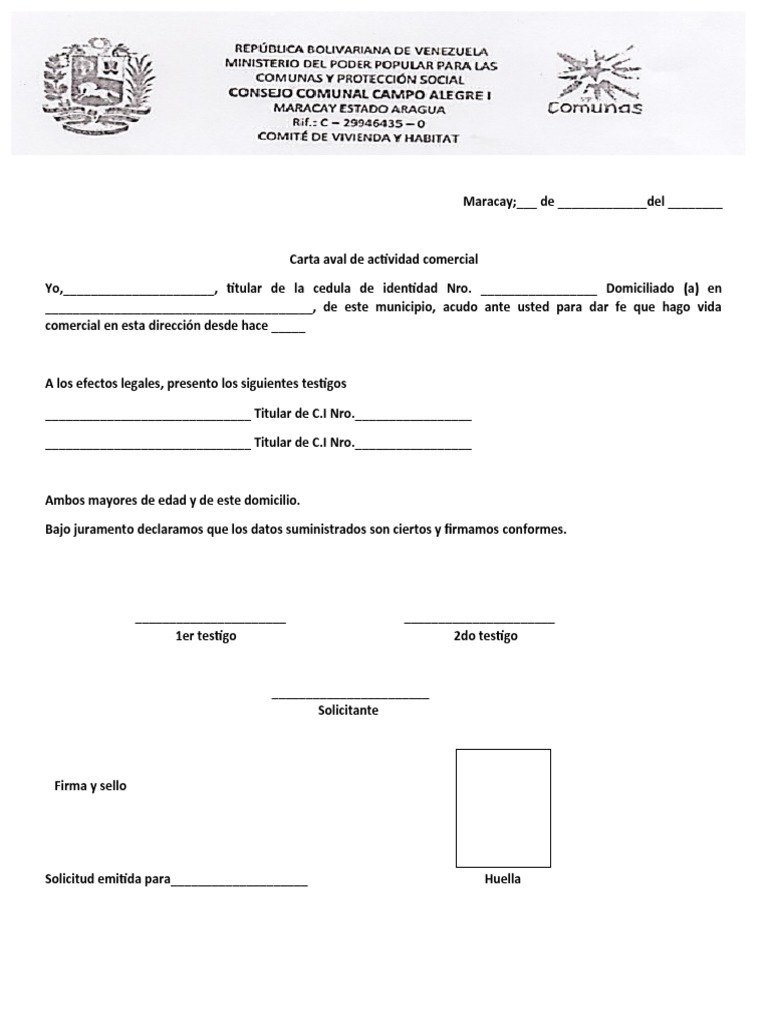 Formato Carta Aval 1 | PDF