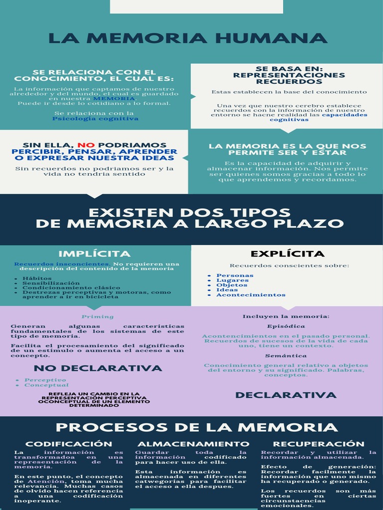 Infografía "La Memoria Humana" | PDF | Memoria | Aprendizaje