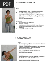 El Colículo Superior | PDF | Anatomía humana | Neurociencia