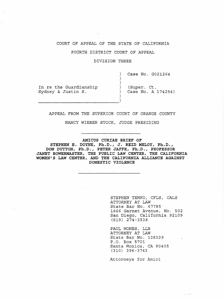 Amicus Curiae Brief Domestic Violence Stalking