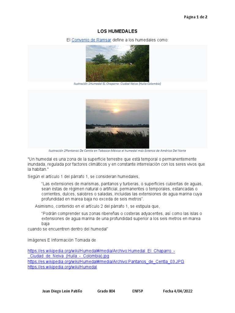 Los Humedales | PDF | Humedal | Ciencia medioambiental