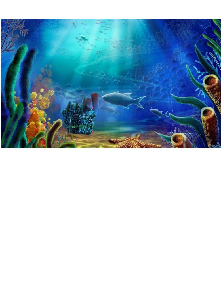 Gambar Ikan Bayan | PDF