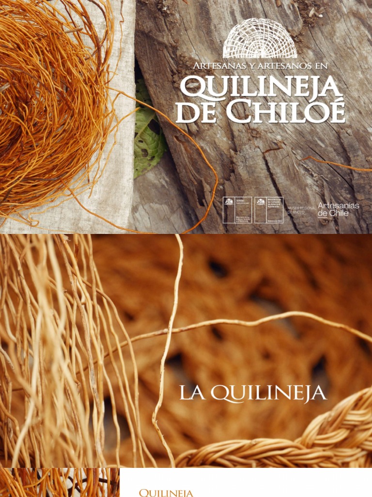 Yolanda Barría Chacón | PDF