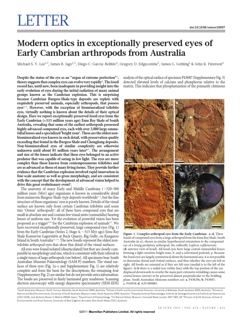 Modern Optics in Exceptionally Preserved Eyes of Early Cambrian ...