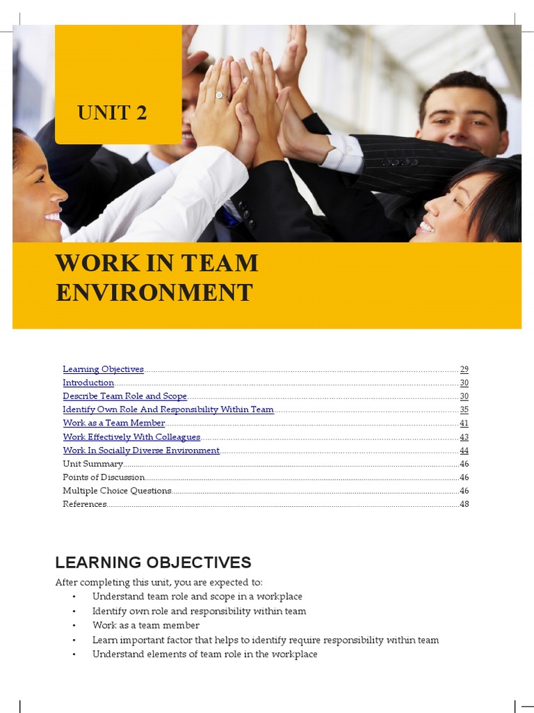 Working in A Team Environment | PDF | Goal | Motivational