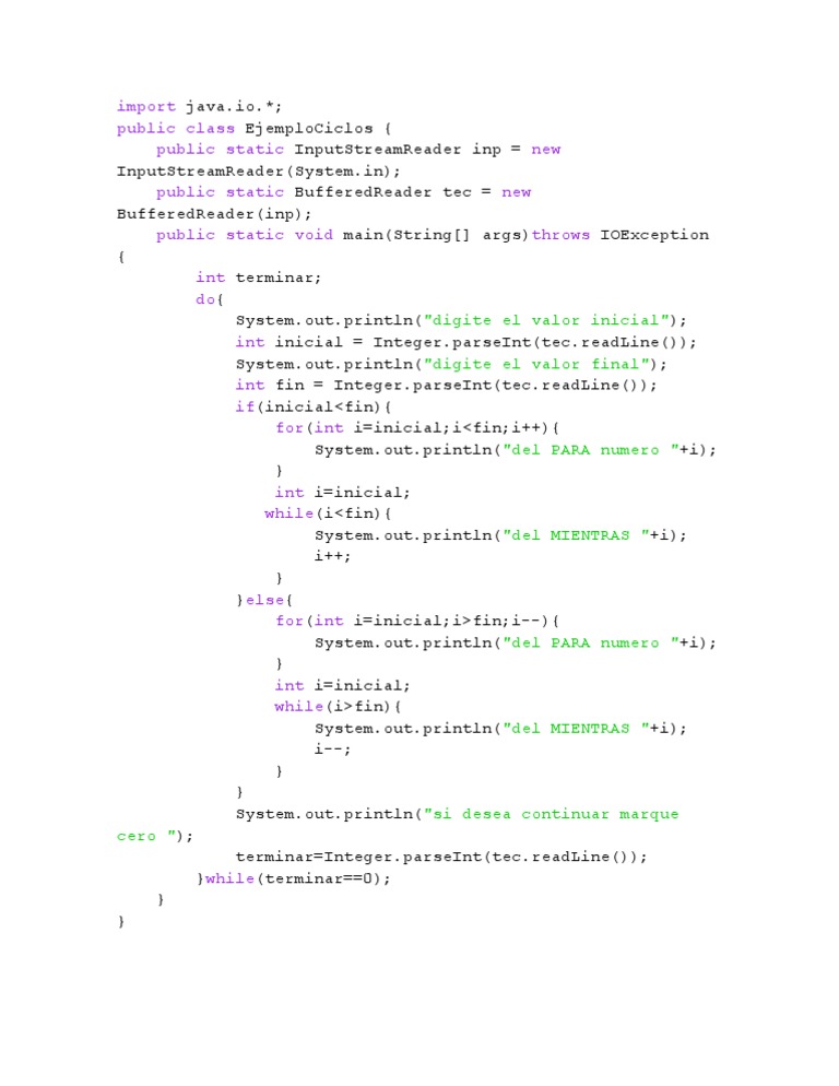 Java Loops Example with User Input | PDF