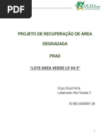 Modelo Do Prad Simplificado-Ativividade | PDF