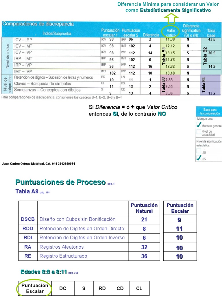 WISC IV Calificación 2 Xx | PDF