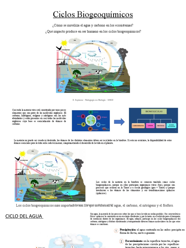 1°M. PPT Ciclos Biogeoquimicos I | PDF | Agua | Dióxido de carbono