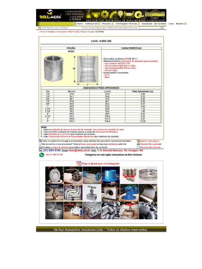 Luva Astm A105 NPT 6000LBS | PDF