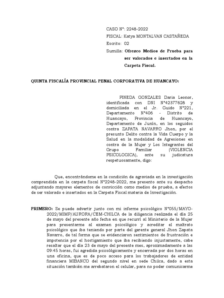 Escrito 02 Ofrecimiento de Medios Probatorios | PDF